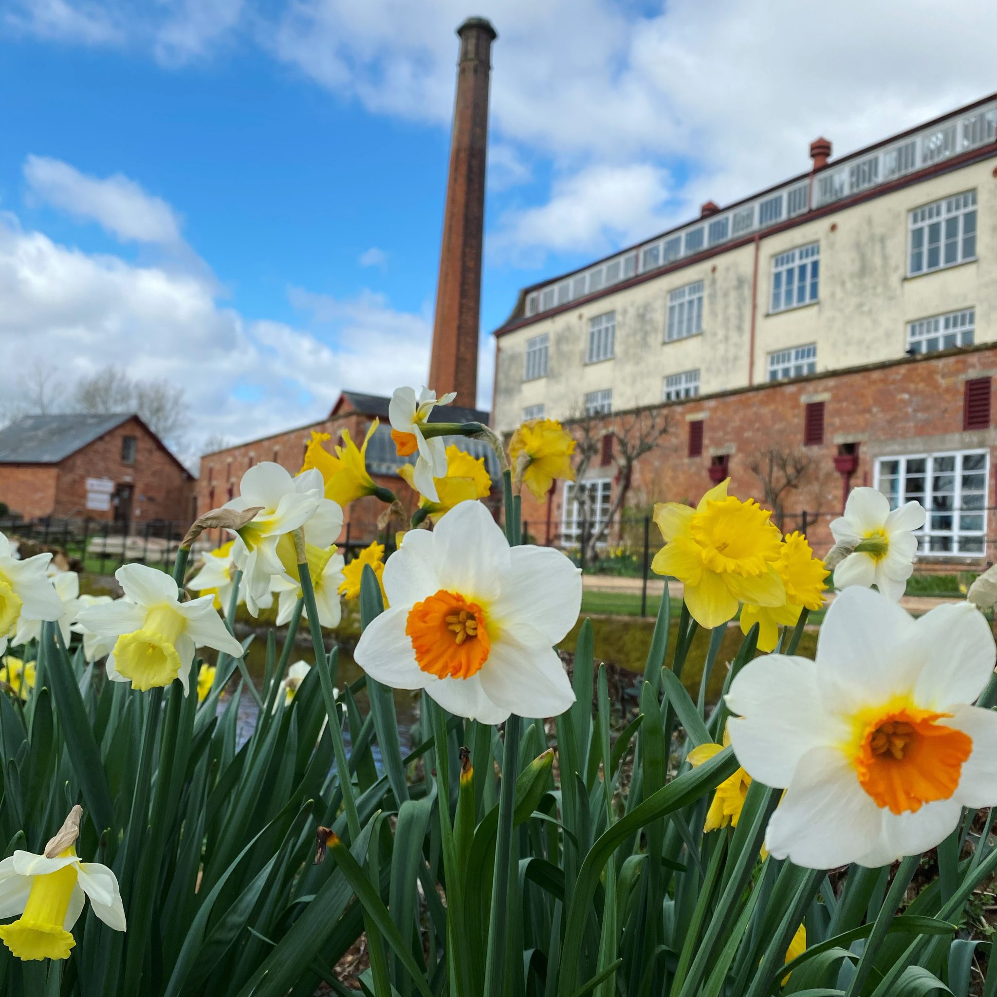 What's On - Coldharbour Mill