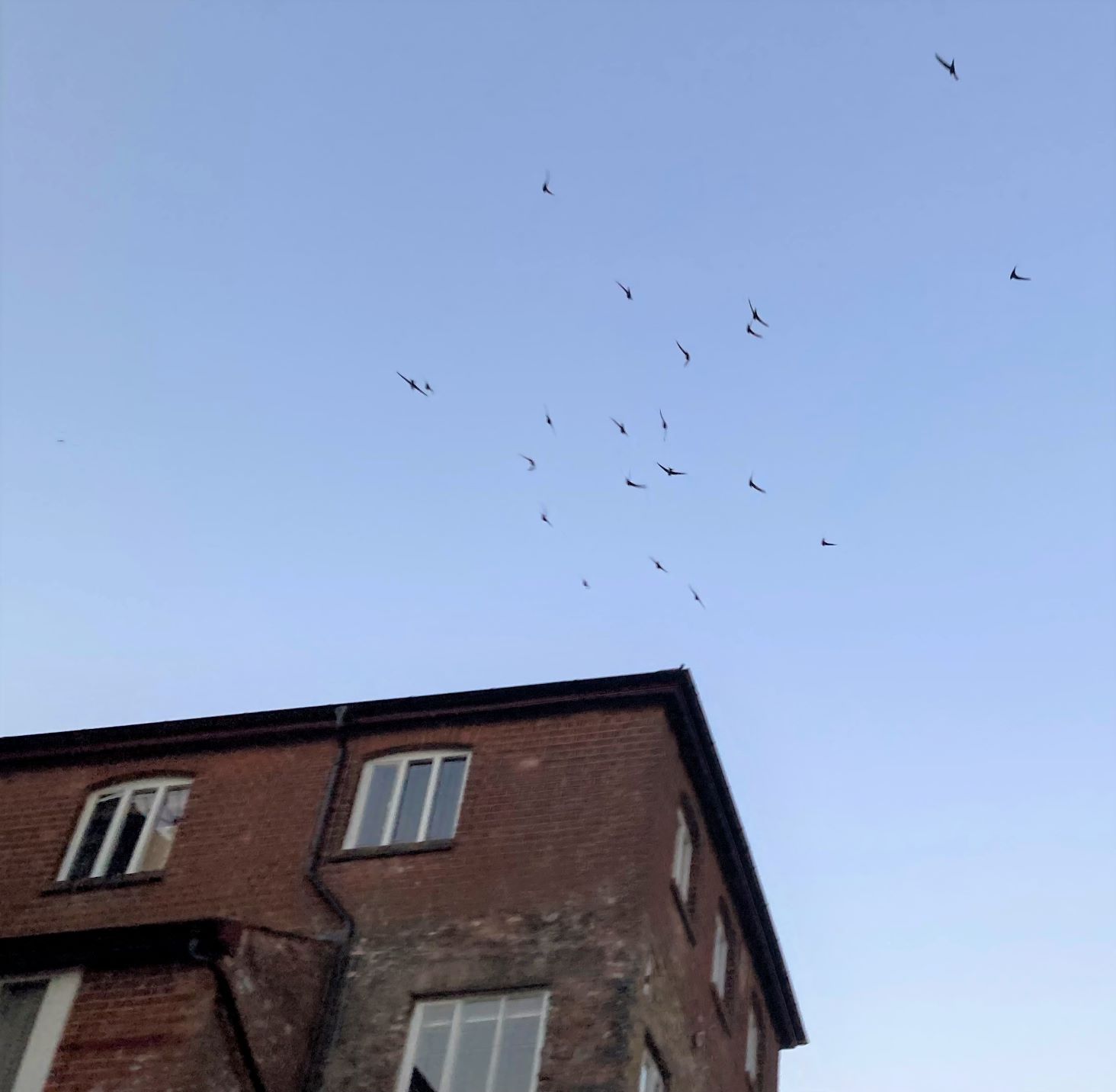 What's On - Coldharbour Mill