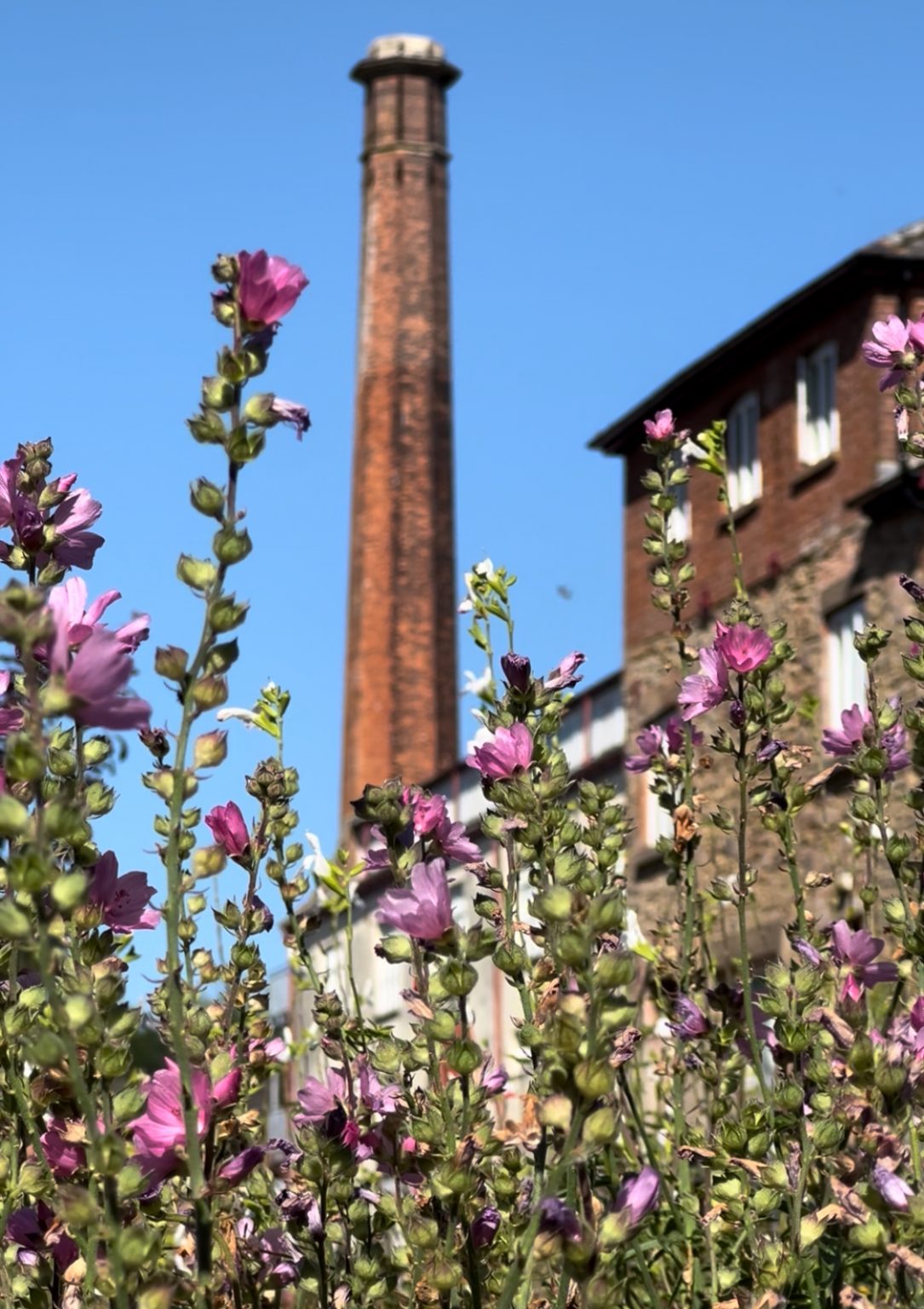 What's On - Coldharbour Mill